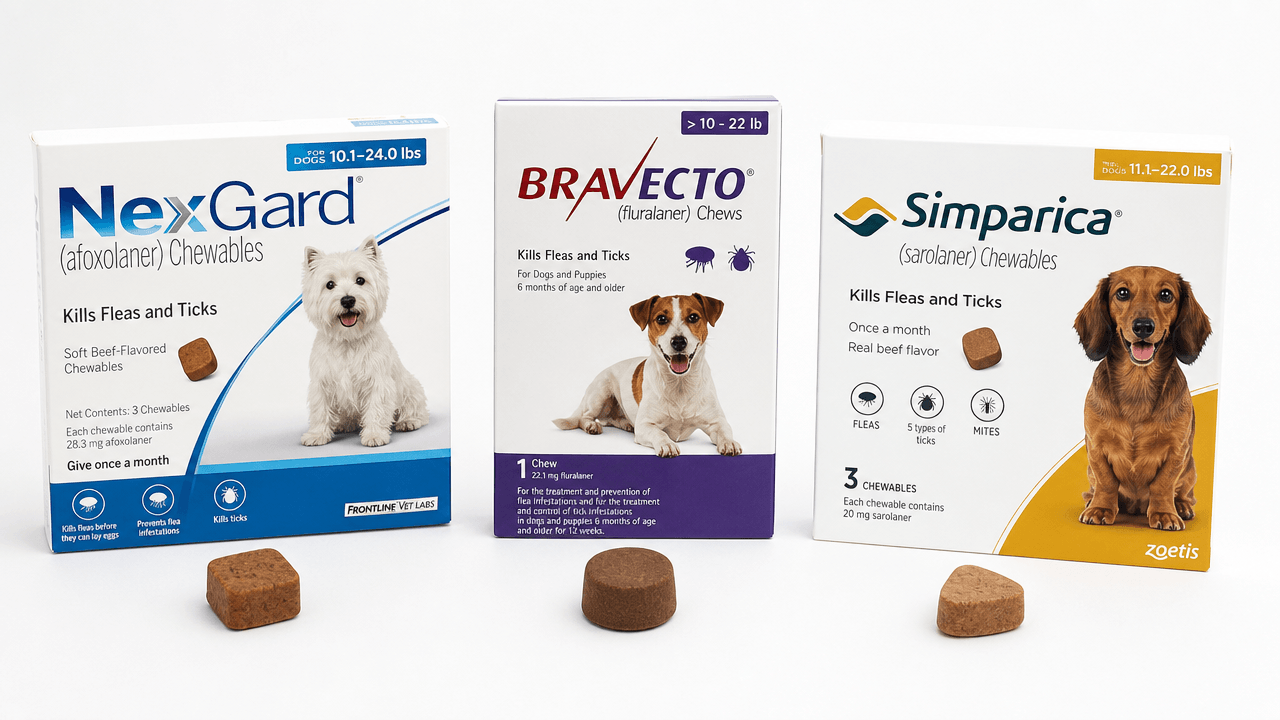 Paralysis Tick Prevention: 7 Critical Facts for Aussie Pets